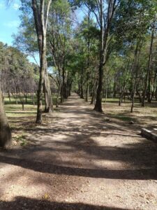 Conéctate con la naturaleza en los Viveros de Coyoacán - Soy Coyoacanense
