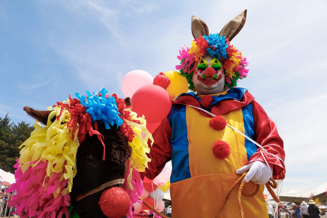 Turismo: Color y alegría en la Feria del Burro 2023 - Soy Coyoacanense