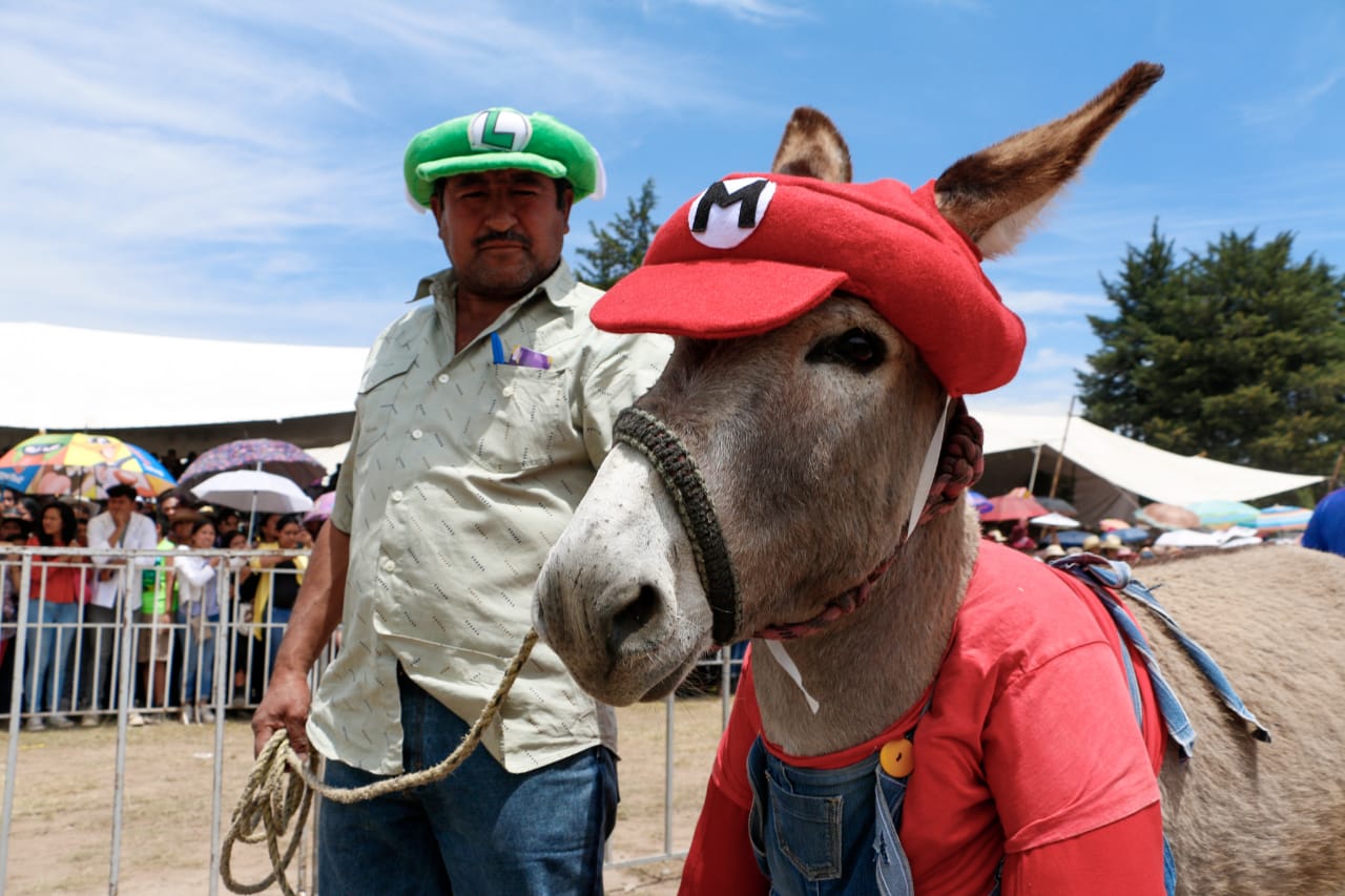 Turismo: Color y alegría en la Feria del Burro 2023 - Soy Coyoacanense
